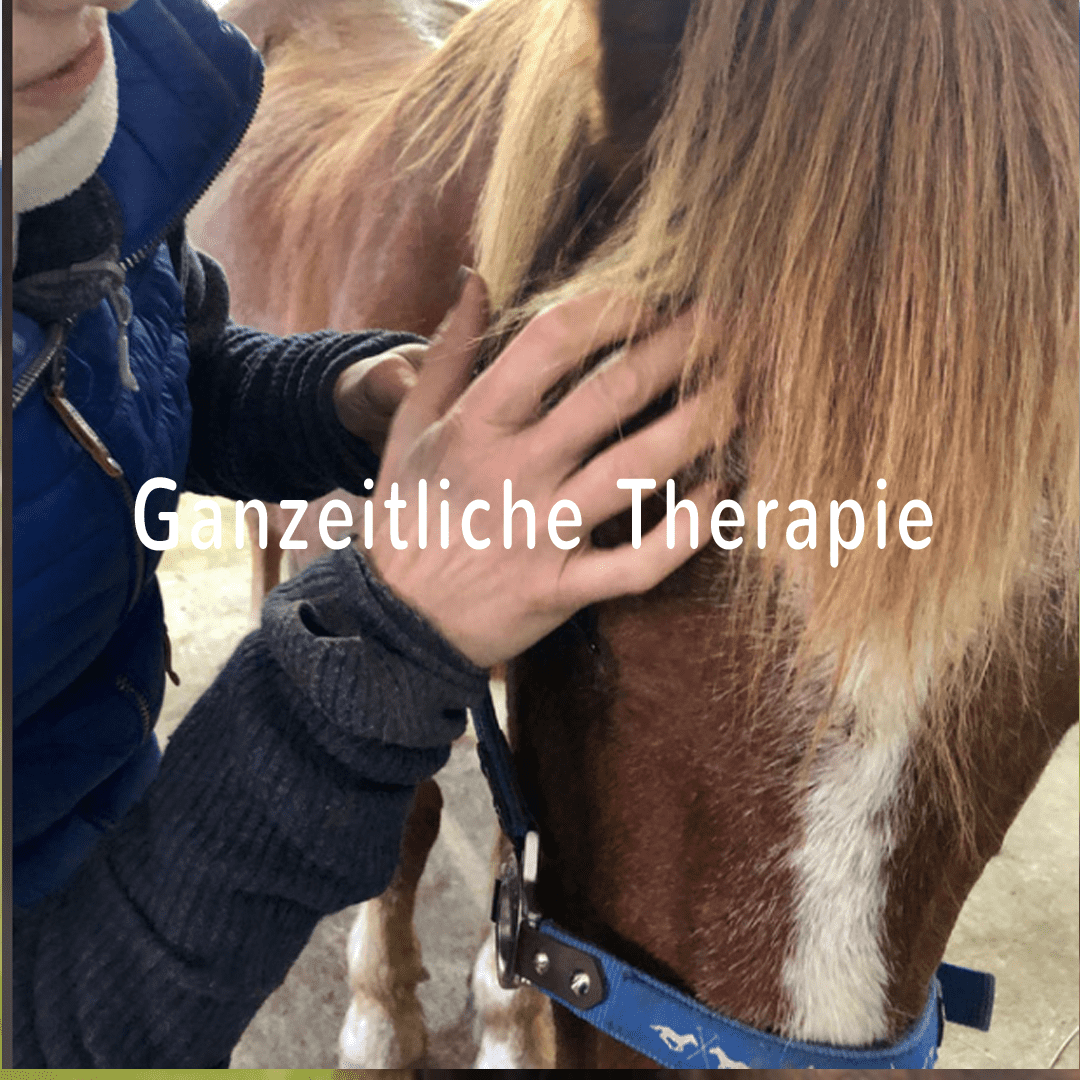 Moderne Pferde Gerätetherapien I Don Dexter Therapy