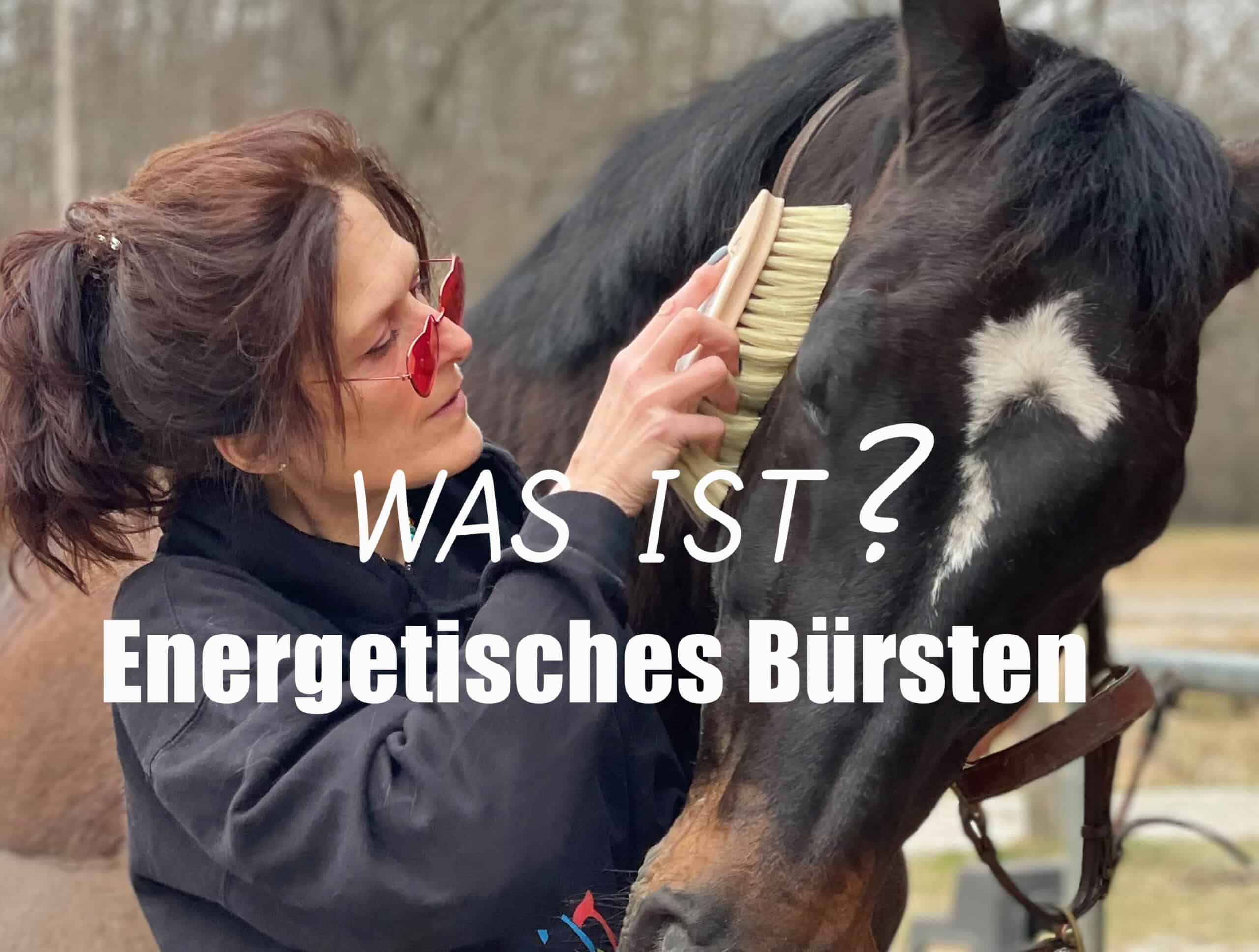 Was ist Energetisches Bürsten am Pferd I Don Dexter Therapy